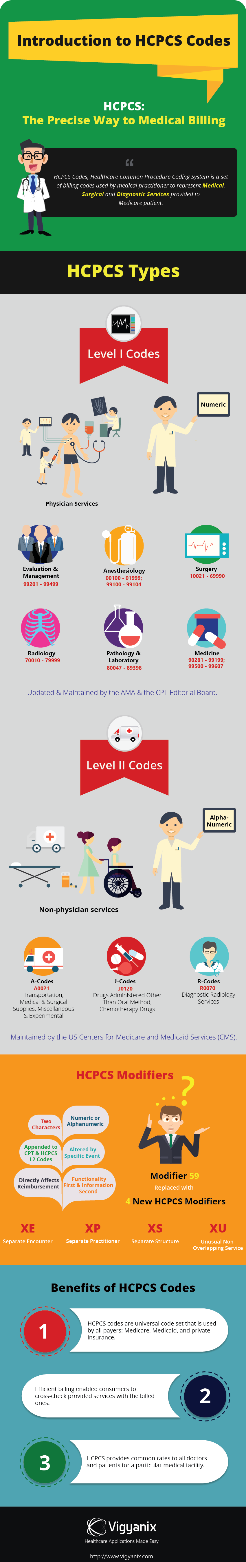 Introduction To HCPCS Codes Infographic Vigyanix